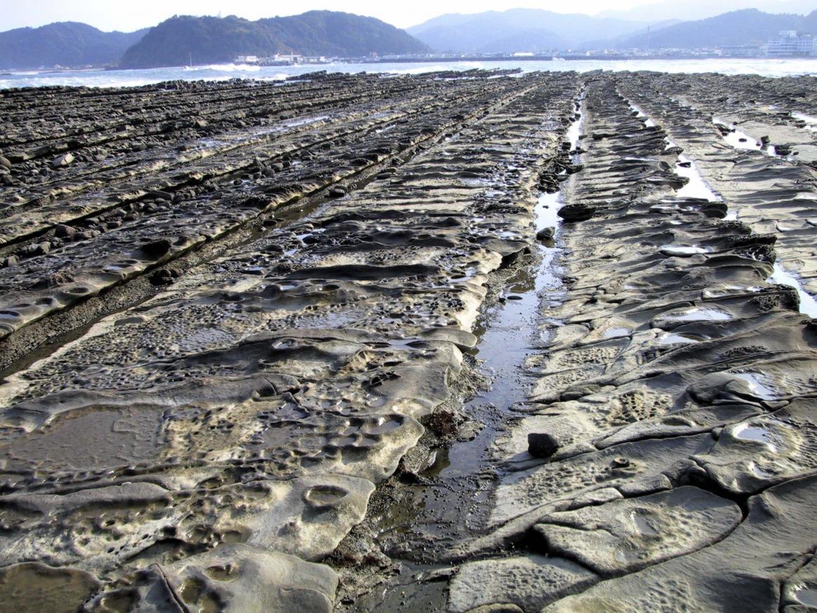 Aoshima | What to See & Do | Visit Miyazaki City -Official Miyazaki ...