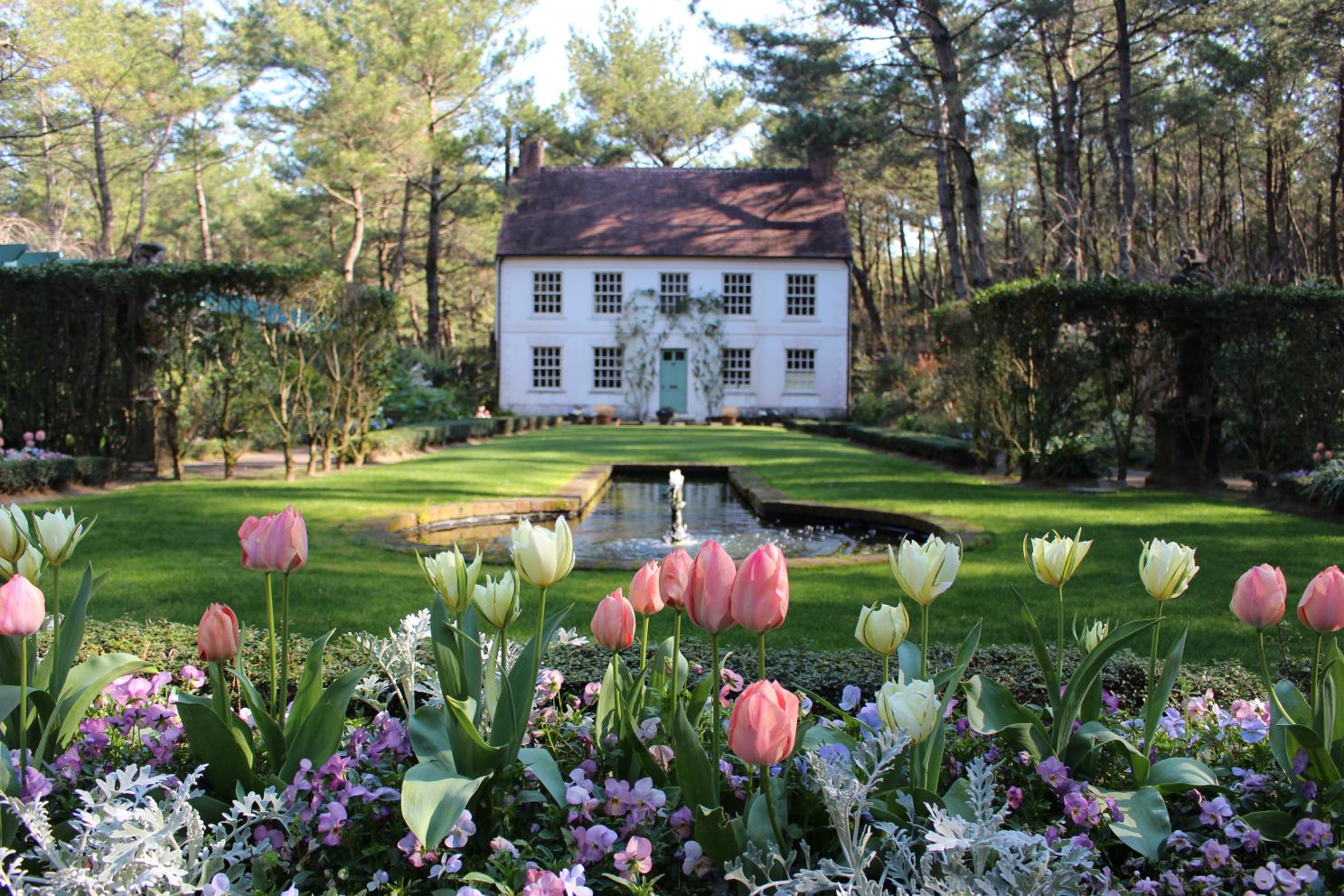 青島の新スポット「青島ビーチビレッジ-AOSHIMA BEACH VILLAGE-」はこう楽しむ！ | 特集 | 【公式】宮崎市観光サイト