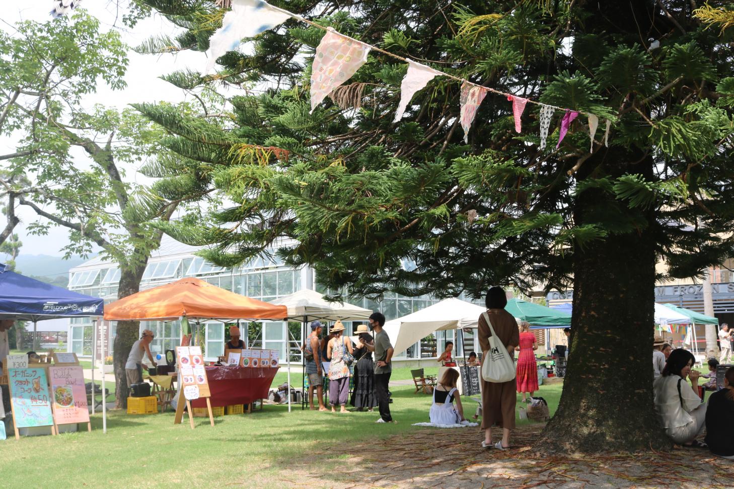 青島の新スポット「青島ビーチビレッジ-AOSHIMA BEACH VILLAGE-」はこう楽しむ！ | 特集 | 【公式】宮崎市観光サイト